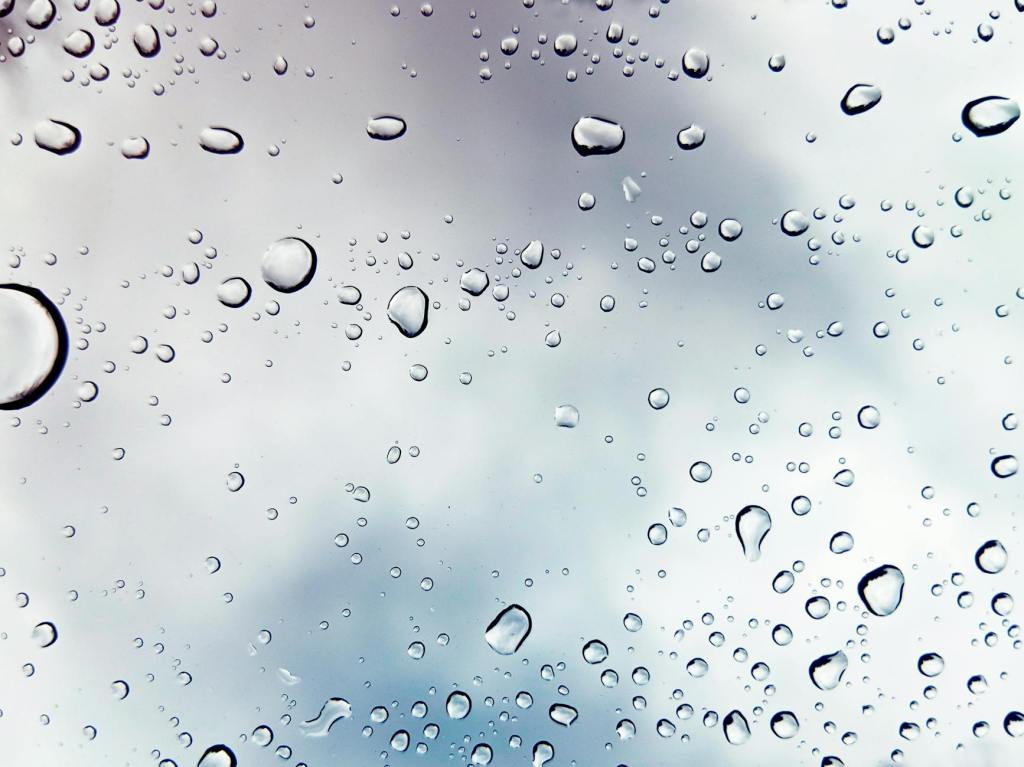 The RAIN Method: A Gentle Practice for Emotional Awareness – WAVES OF ...
